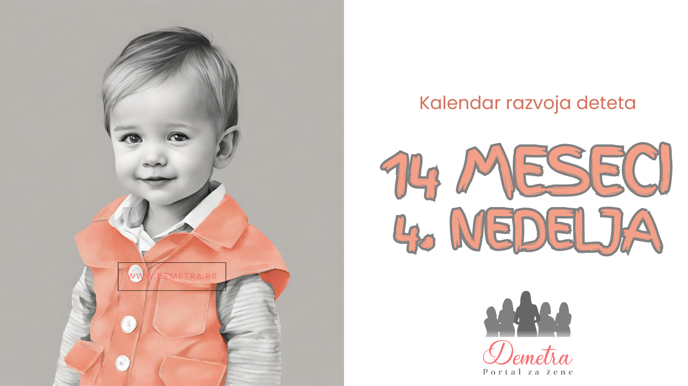 14 meseci 4. nedelja - Kalendar razvoja deteta - Demetra - portal za ...
